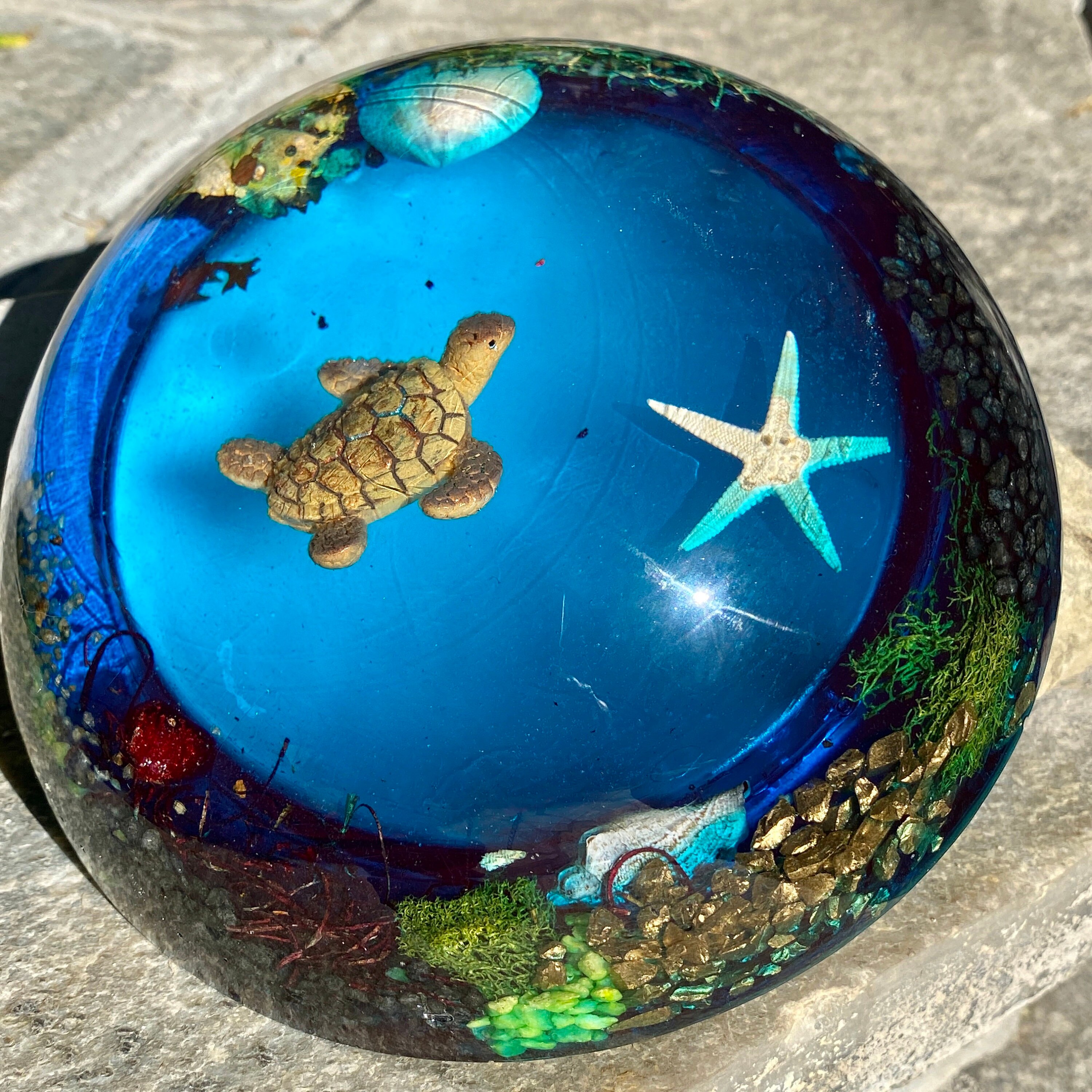 Supersize Sea Turtle Dome Aquarium Lamp. Lighted Resin Ocean | Etsy