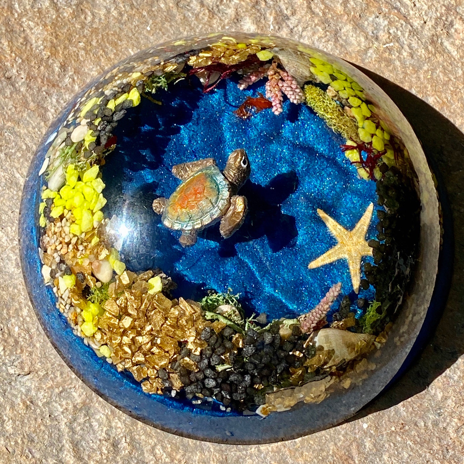 Supersize Sea Turtle Dome Aquarium Resin Ocean Aquarium Dome - Etsy