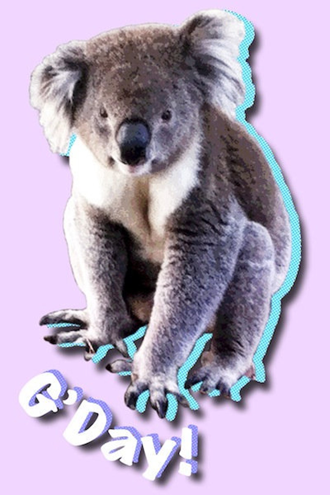 Mounted Canvas Wall Print - Aussie Koala G’day - Original Photography ...