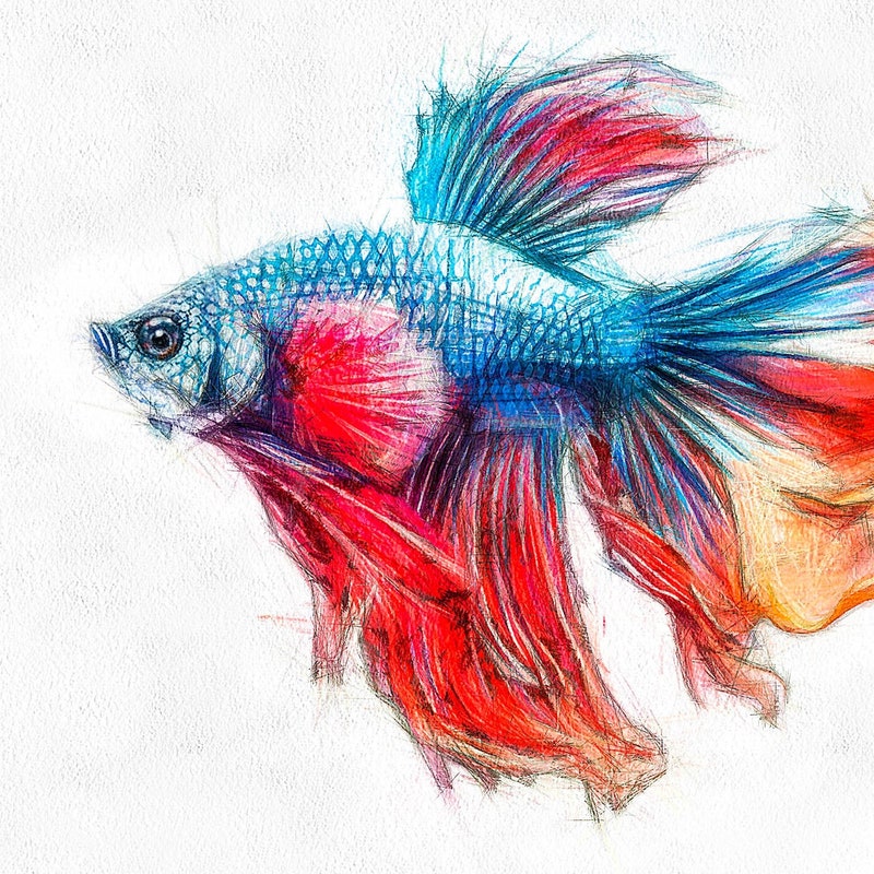 Trophy Fish - Etsy