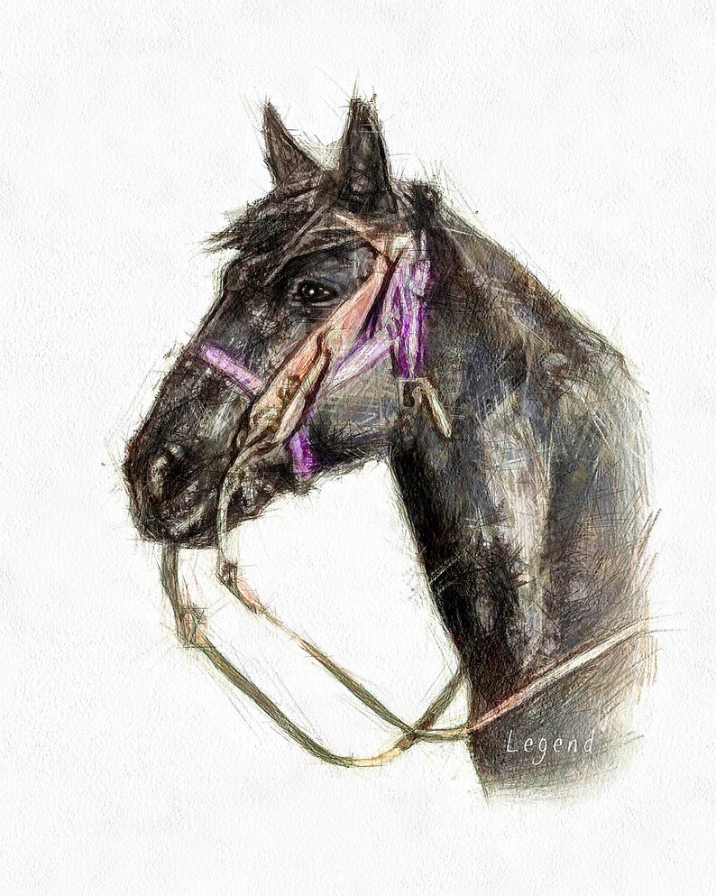 Custom Horse Rider Portrait. Hand Drawn Equestrian Dressage Artwork ...
