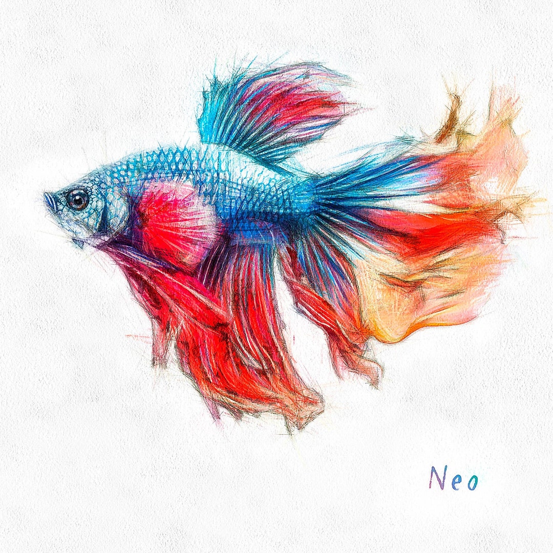 Personalized Fish Photo to Portrait. Custom Pet Fish Memorial Painting ...