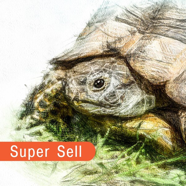 Digital Pet Portrait - Etsy