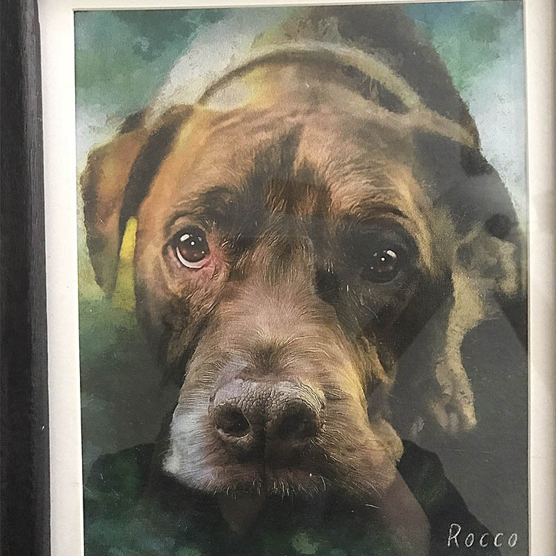 Custom Dog Portrait From Picture, Commission Cat Painting, Personalized ...