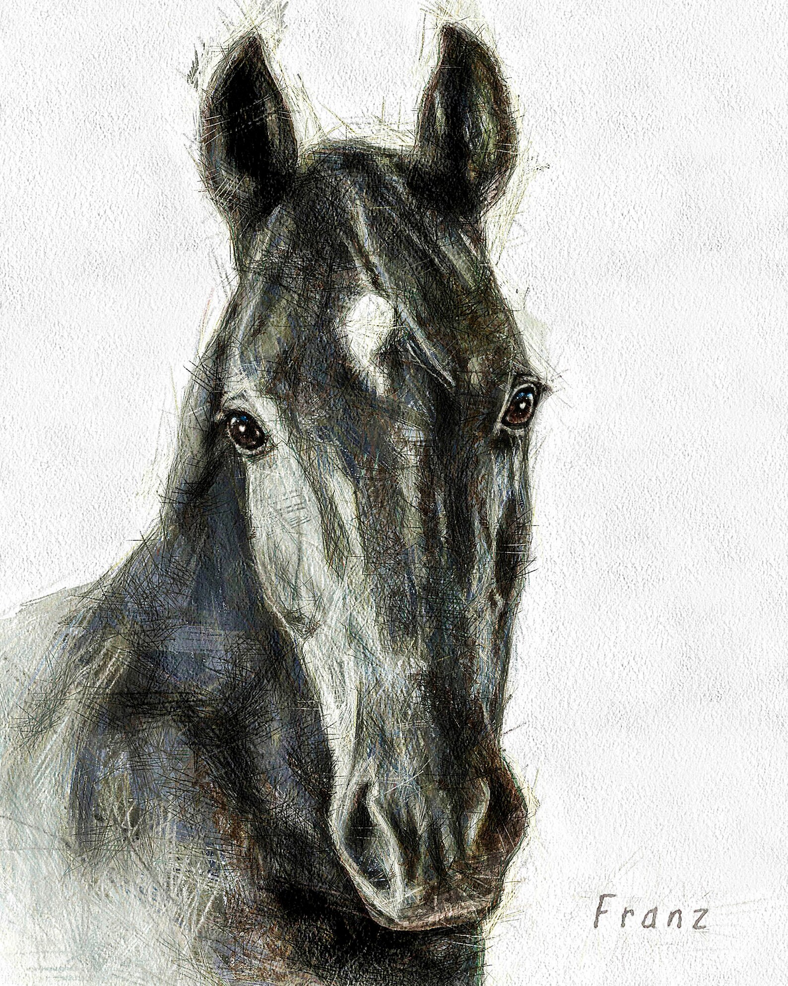 Custom Horse Rider Portrait. Hand Drawn Equestrian Dressage Artwork ...