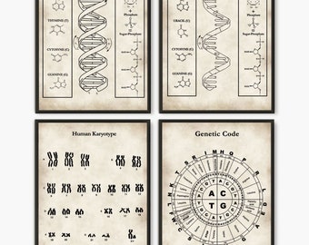 Genetic Code Art | Etsy