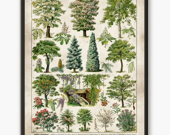 Green tree art print | Etsy