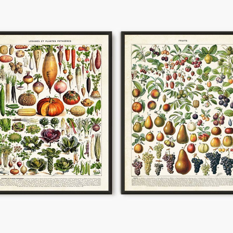 Vegetable Poster - Etsy