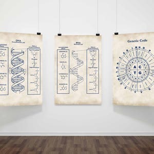 Dna Wall Art, Set of 3,dna Molecule, Rna Molecule, Science Art, Medical ...