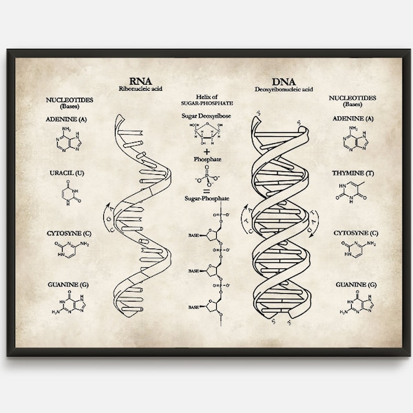 Science Poster - Etsy