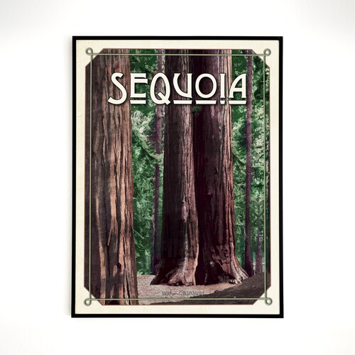 Sequoia National Park Poster Sequoia Tree Artwork California - Etsy