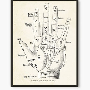 Palmistry Art, Palmistry Hand, Palmistry Wall Art, Vintage Palmistry ...