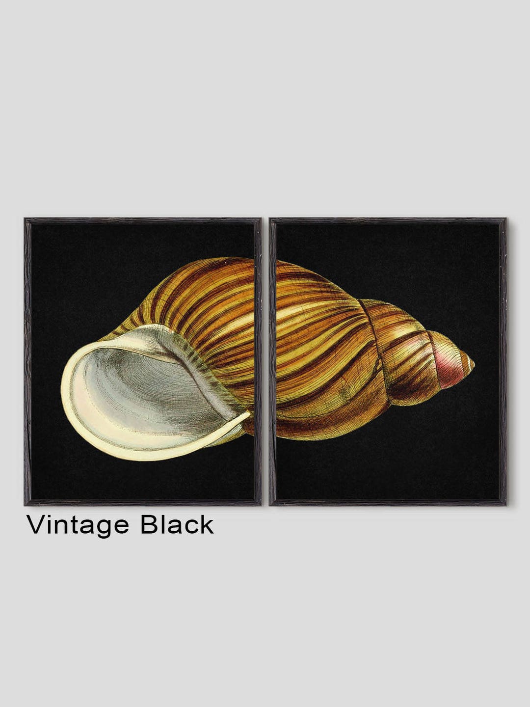 Nautical Poster, Sea Shell, Set of 2 Prints, Blue Nautical Print ...