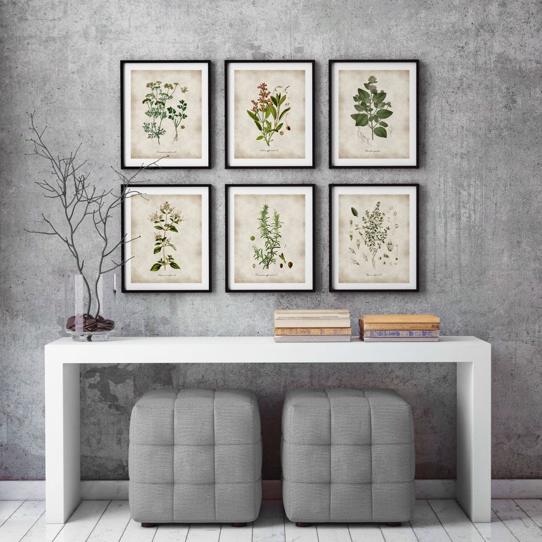 Kitchen Wall Art, Botanical Prints, Kitchen Herbs Poster Set of 6 ...