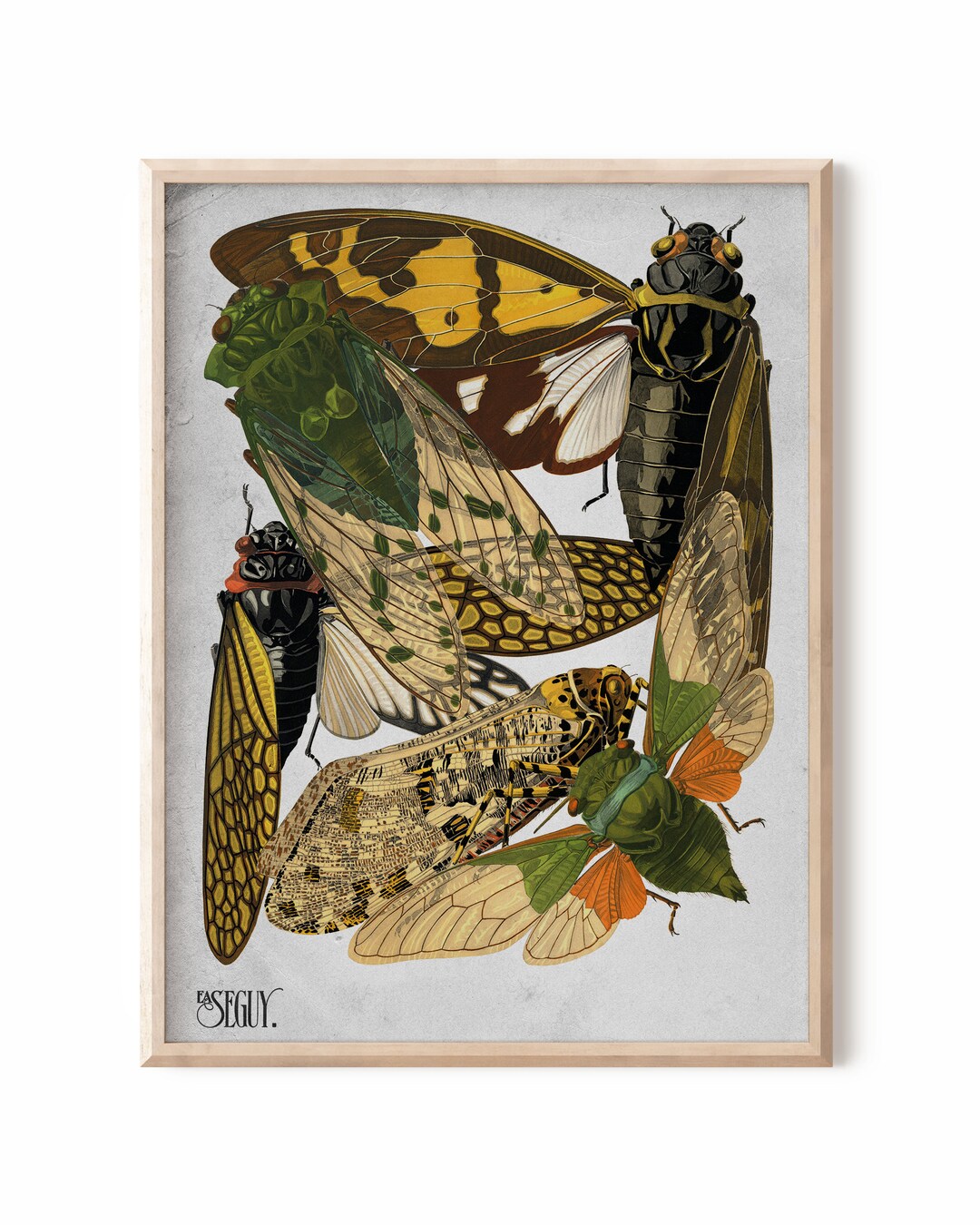 Insects Vintage Cicadas Print, Insect Poster Art Nouveau Style Poster ...