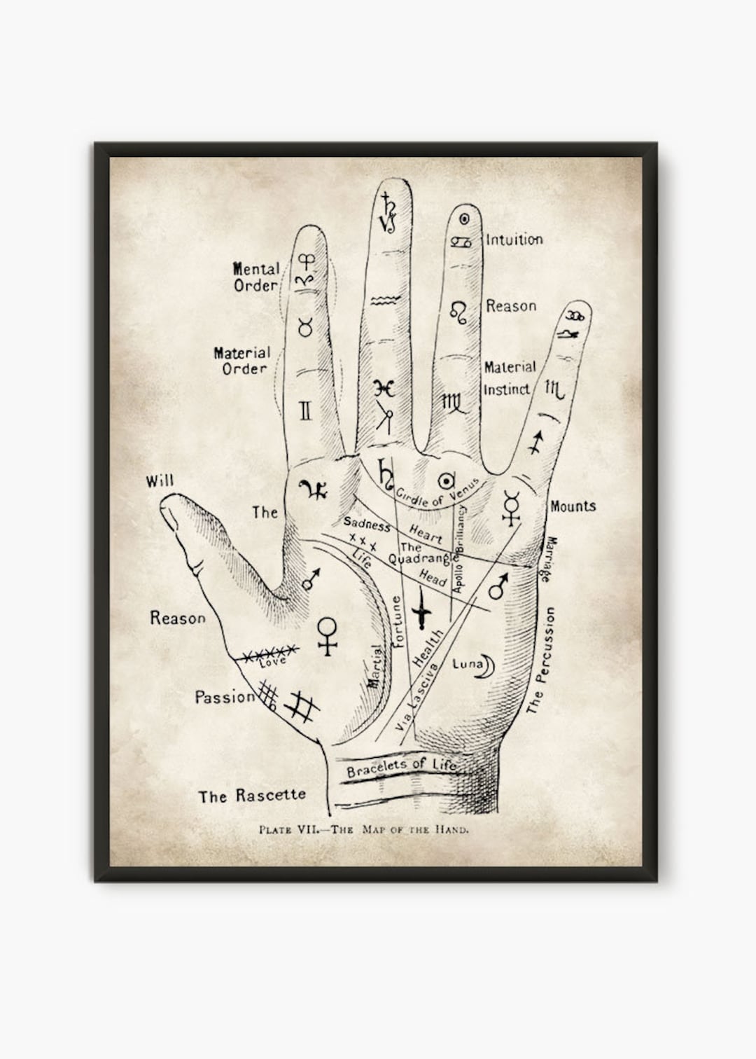 Palmistry Art, Palmistry Hand, Palmistry Wall Art, Vintage Palmistry ...