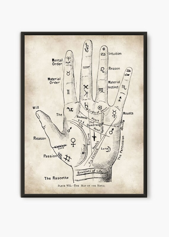 Digital Drawing & Illustration Celestial Decor. Vintage Decor Alchemy ...