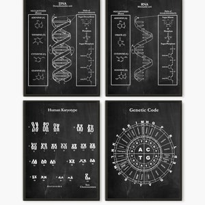 Dna Wall Art, Set of 4,dna Molecule, Rna Molecule, Science Art, Medical ...