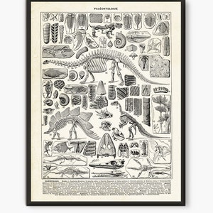 Dinosaur Art Print, Larousse Book Plate, Paleontology Decor, Jurassic ...