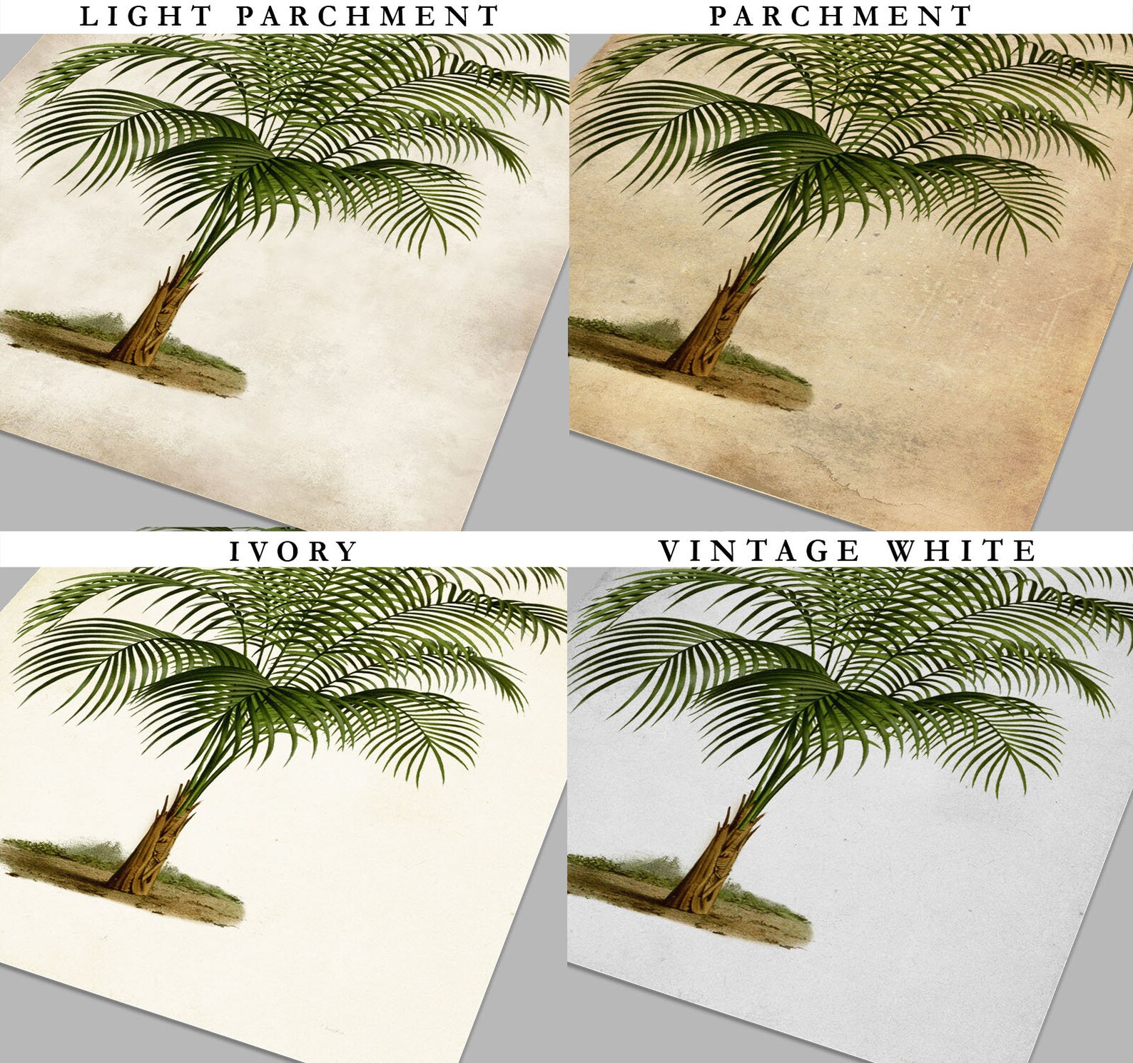 Palm Tree Decor Palm Leaf Print Palm Tree Art Tropical Leaf - Etsy