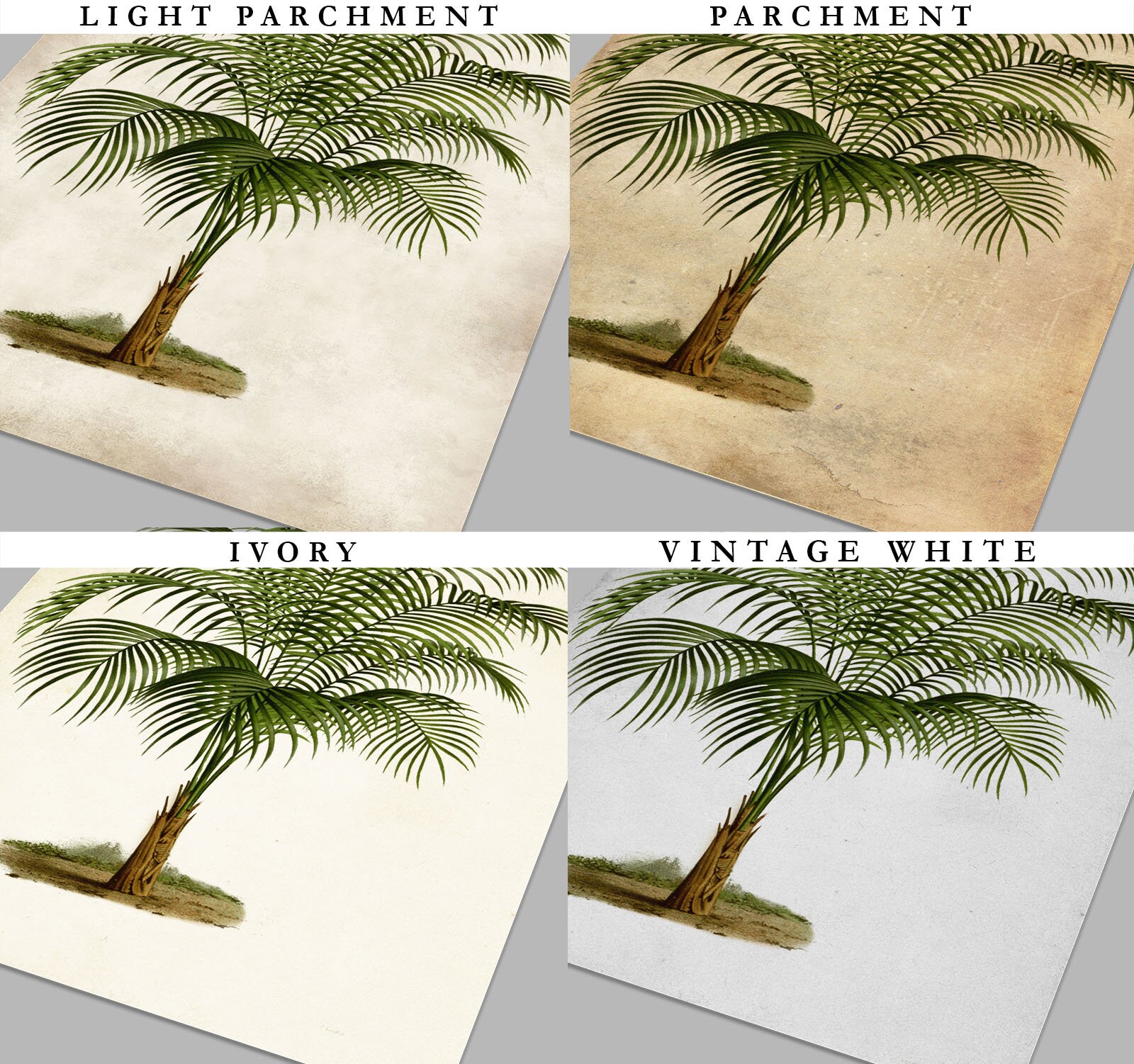 Palm Tree Decor Palm Leaf Print Palm Tree Art Tropical Leaf - Etsy