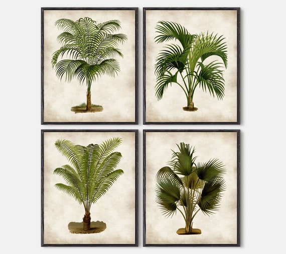 Palm Tree Decor Palm Leaf Print Palm Tree Art Tropical Leaf - Etsy