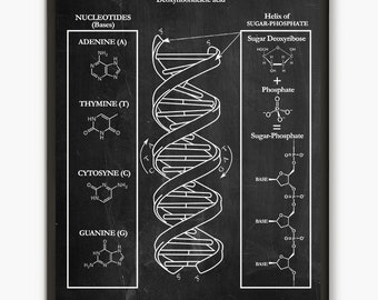 Science Art Print, DNA Gifts, DNA Poster, DNA Print, Biochemistry Gift ...