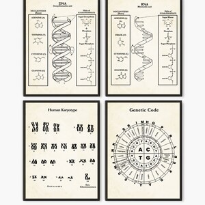 Dna Wall Art, Set of 4,dna Molecule, Rna Molecule, Science Art, Medical ...