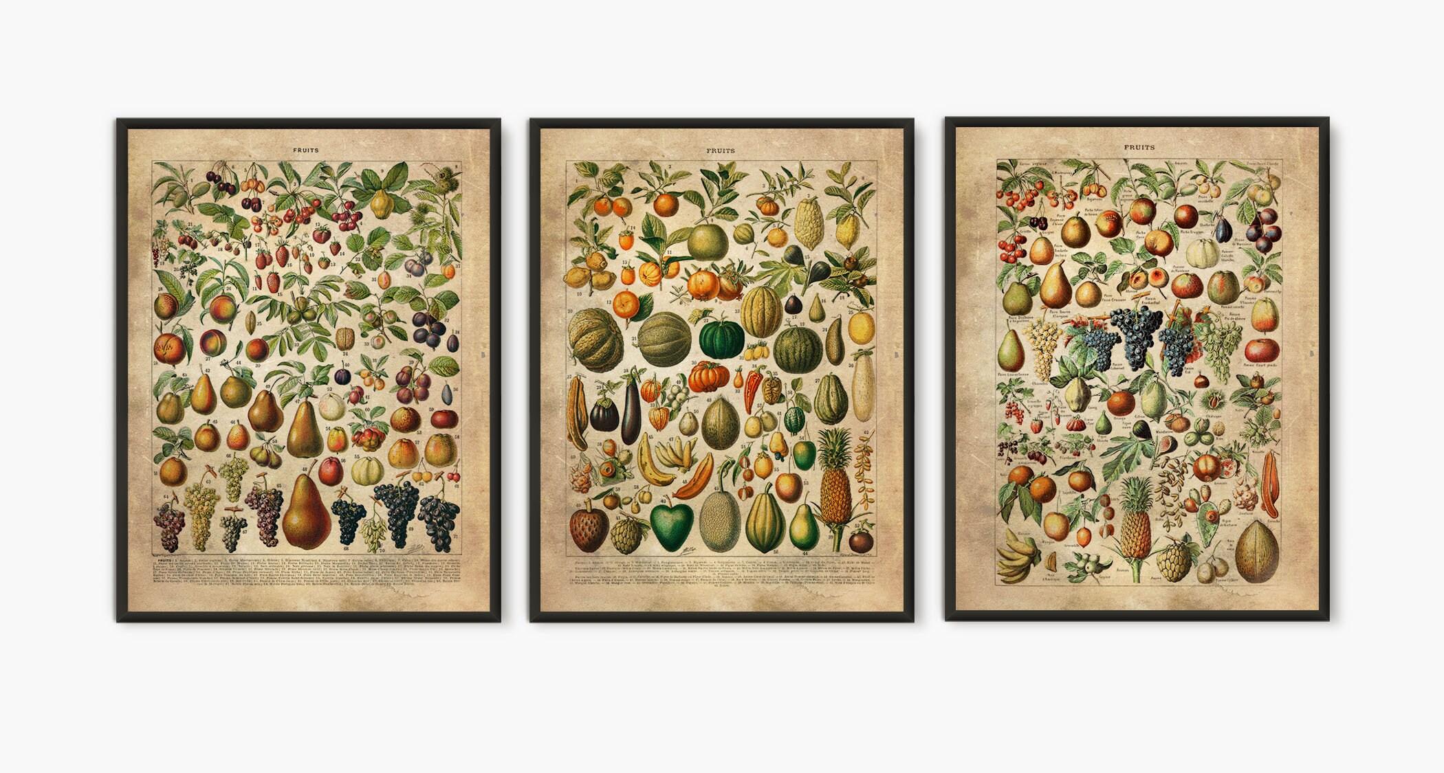 Fruit Print Kitchen Poster Fruit Wall Art Fruit - Etsy