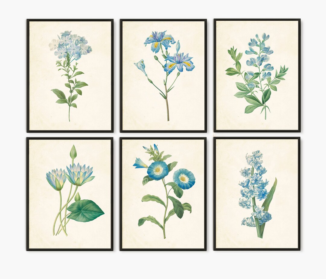 Blu Flowers, Flowers Print, Garden Flowers, Botanical Print, Botanical ...