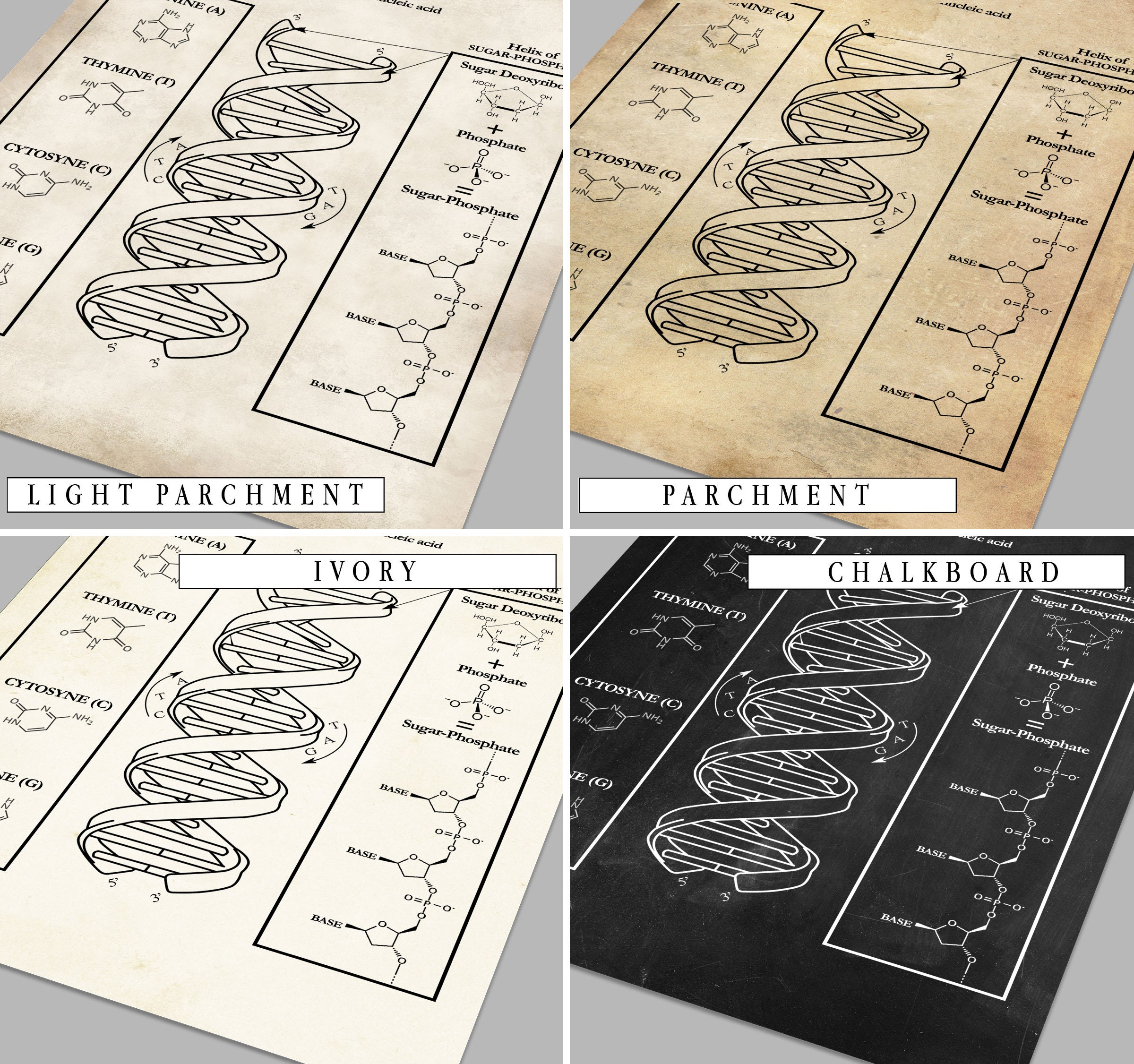 Dna Wall Art Set of 4dna Molecule Rna Molecule Science - Etsy