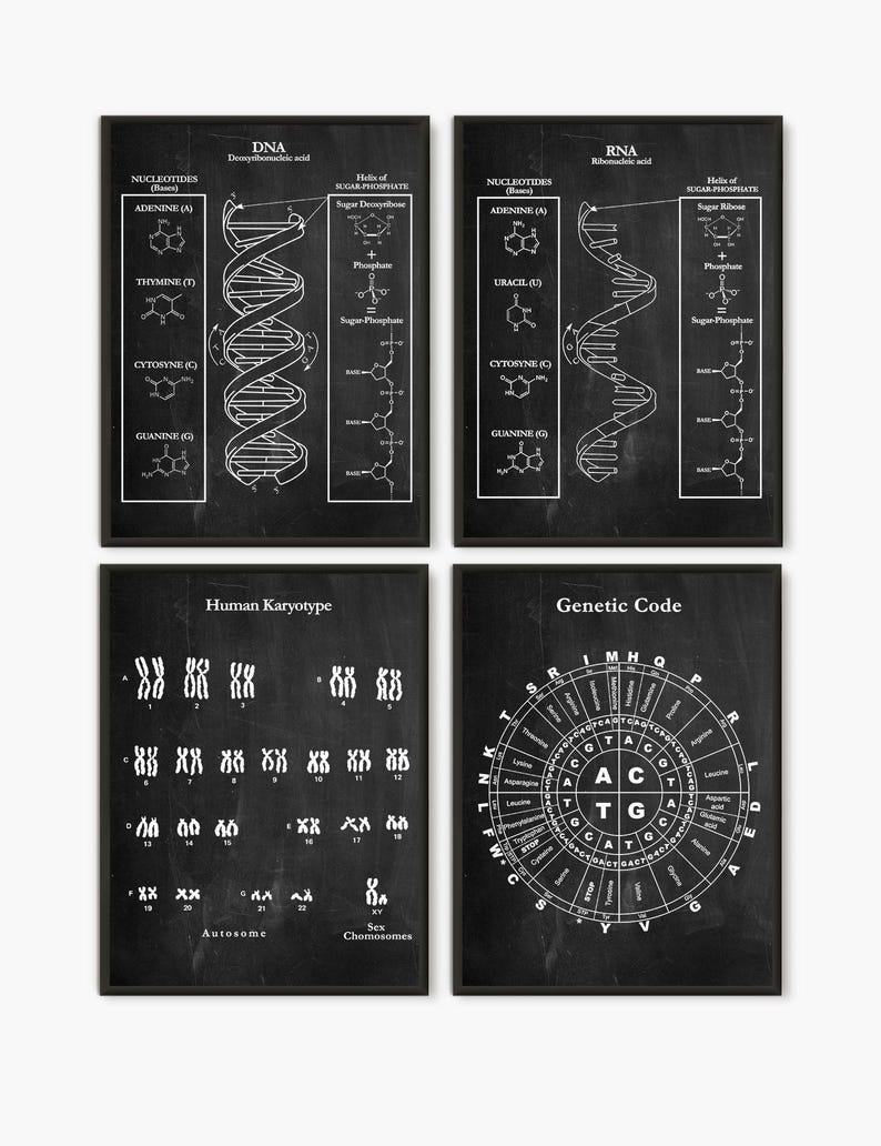 Dna Wall Art, Set of 4,dna Molecule, Rna Molecule, Science Art, Medical ...