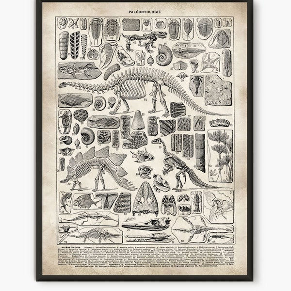 Dinosaur Poster - Etsy