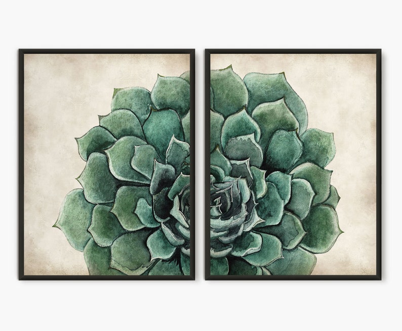 Succulent Plant Succulent Print Botanical Artwork Succulent - Etsy