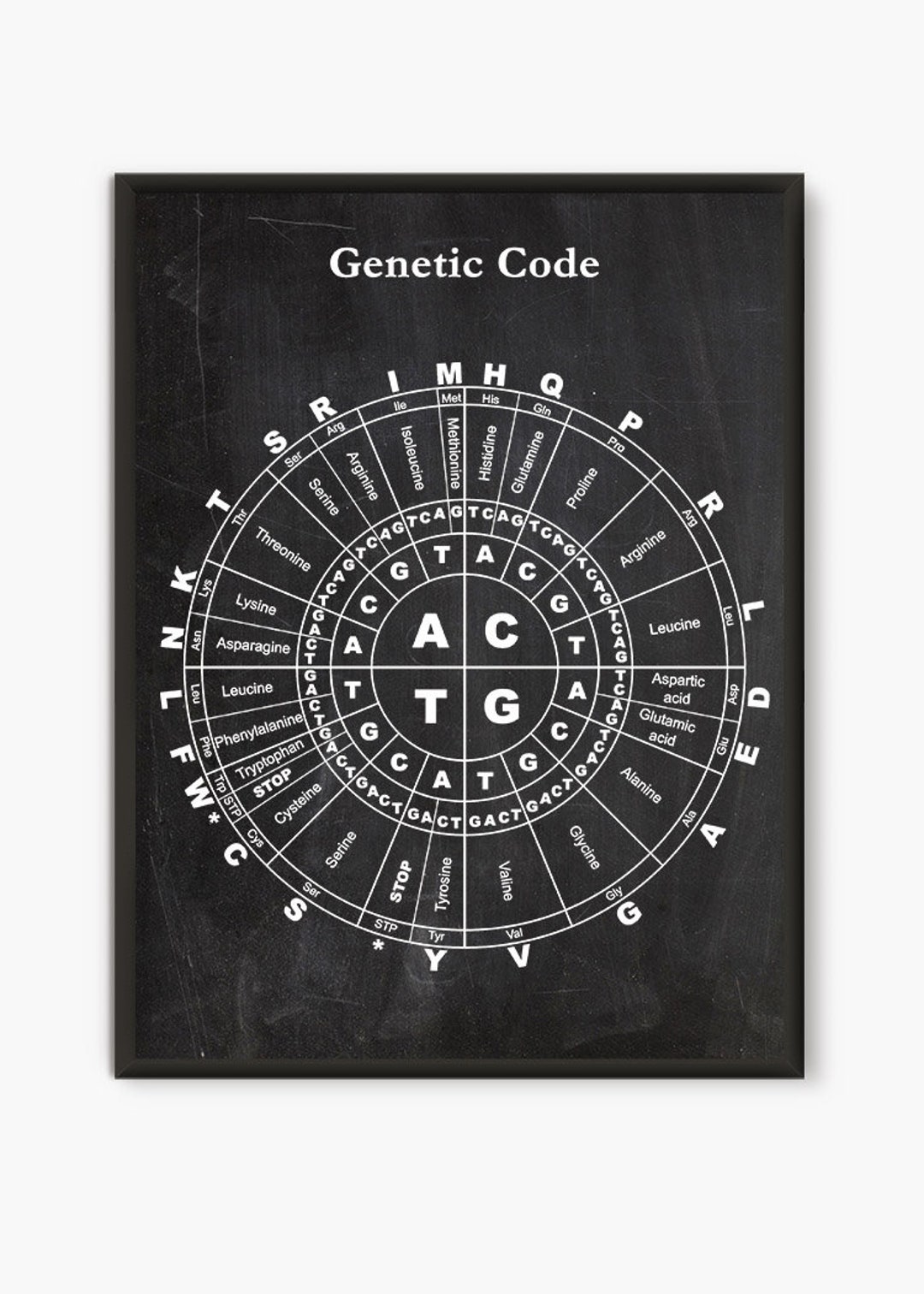 Genetic Code Science Poster, Gift for Scientist Medical Art Biology Art ...