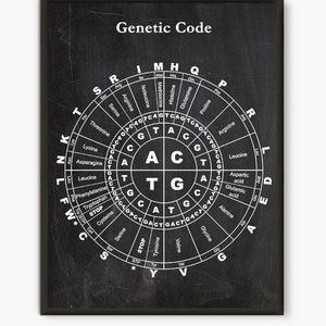 Genetic Code Science Poster, Gift for Scientist Medical Art Biology Art ...