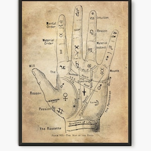 Palmistry Art, Palmistry Hand, Palmistry Wall Art, Vintage Palmistry ...