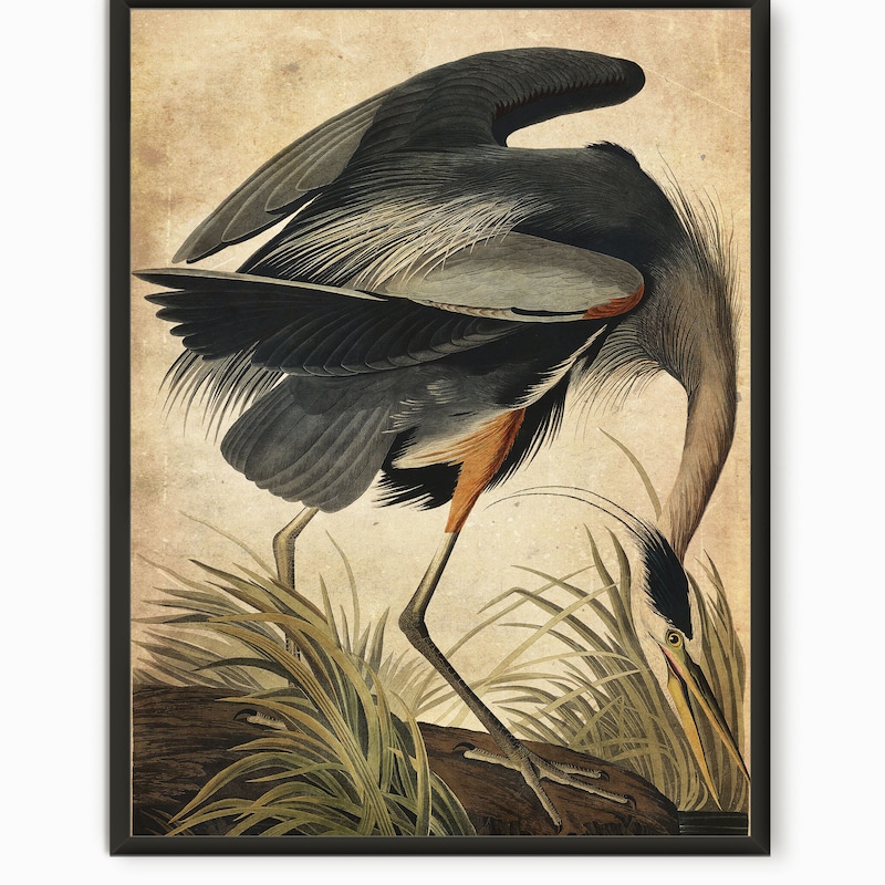 Heron Print - Etsy