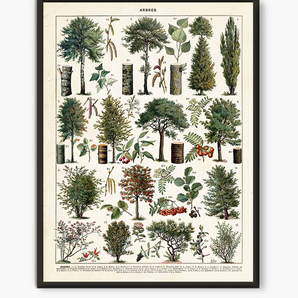 Tree Poster - Etsy