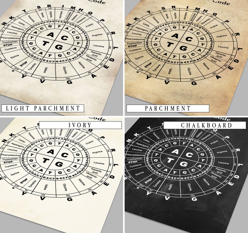 Genetic Code Science Poster Gift for Scientist Medical Art - Etsy
