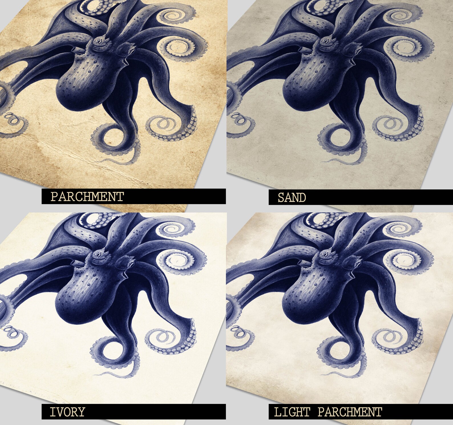 Sea Creatures Marine Life Octopus Art Seashell Decor Sea - Etsy