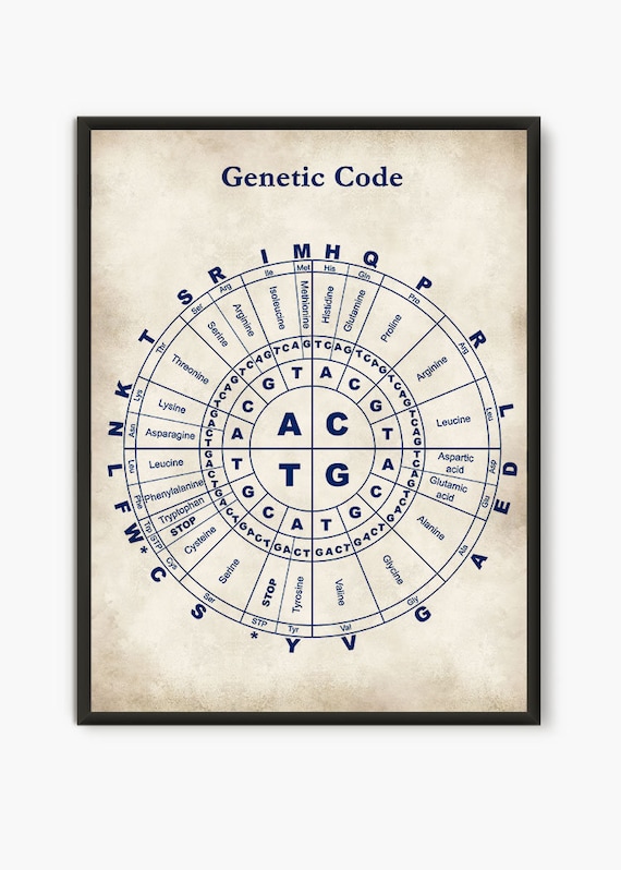 Dna Code Chart