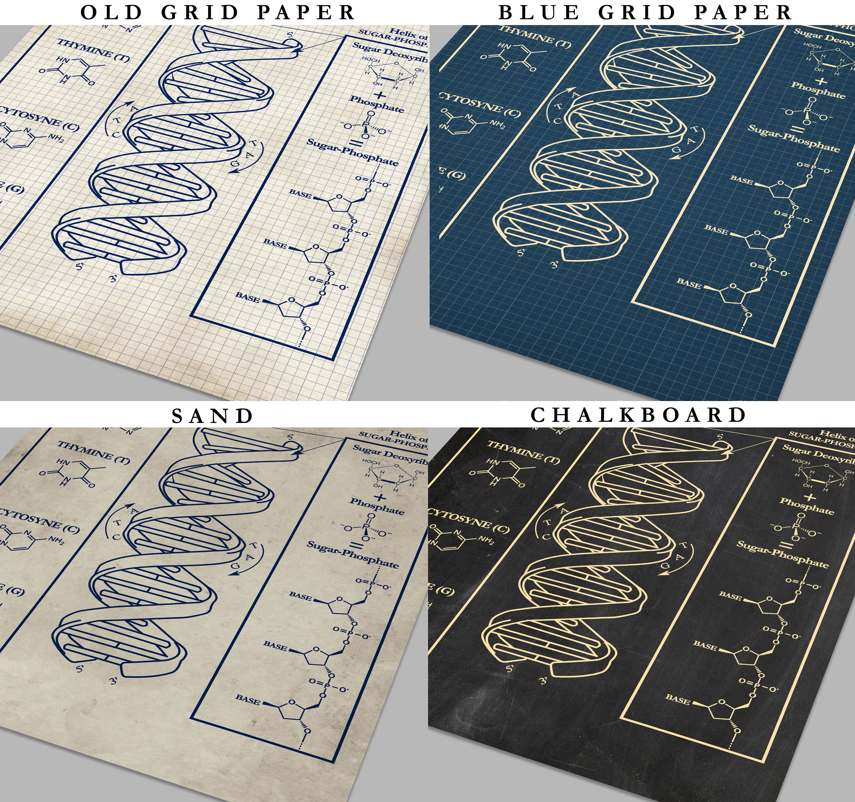 DNA Wall Art Posterbiology Student Gift Classroom Art - Etsy