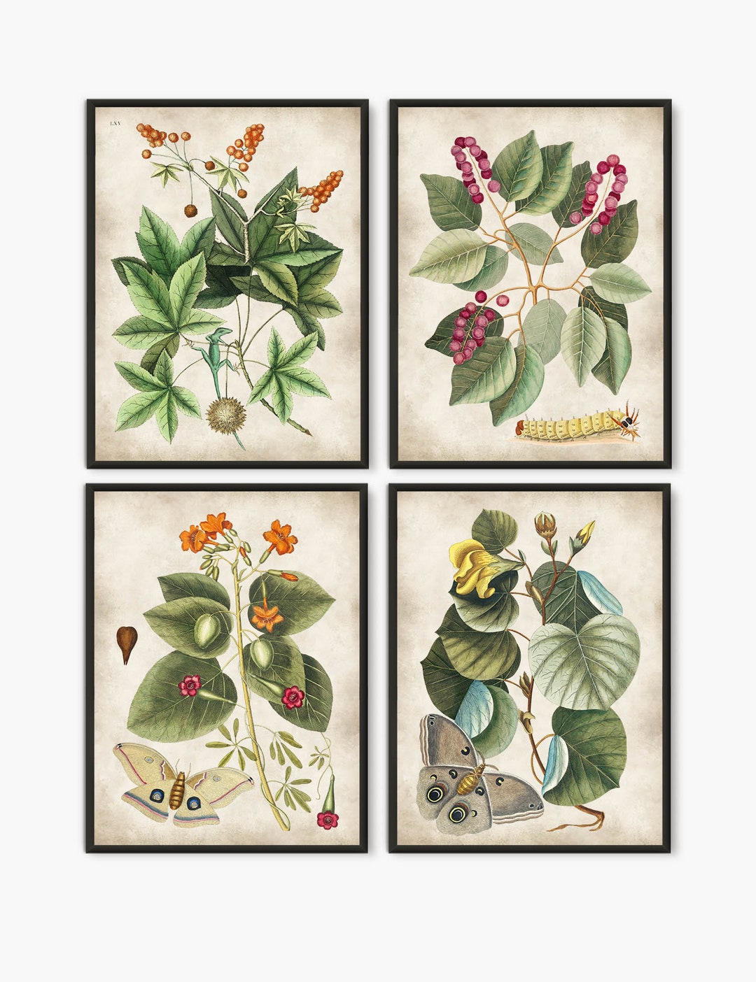 Botanical and Insects Print Set, Set of 4 Green Leaves Vintage ...