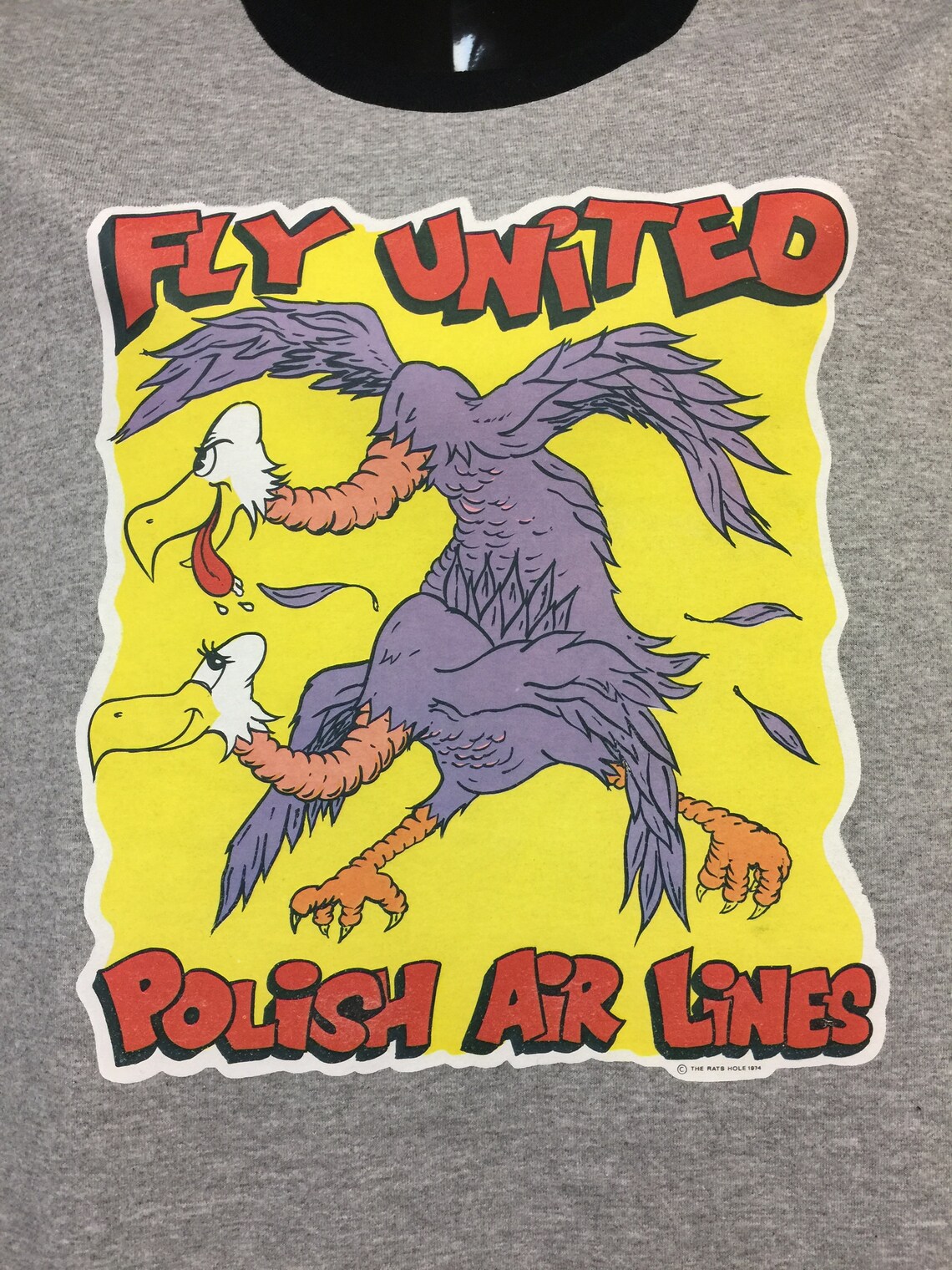 Fly United Airlines Vintage Art Printed in 1974 This Transfer | Etsy