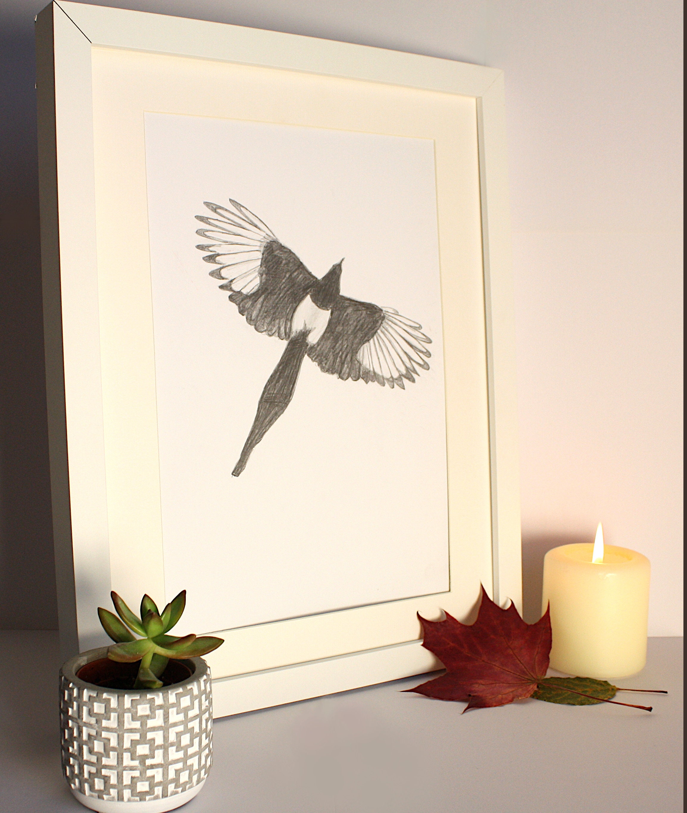 Original Pencil Drawing of Flying Magpie - Etsy
