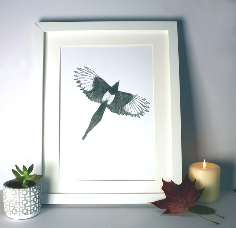 Original Pencil Drawing of Flying Magpie - Etsy