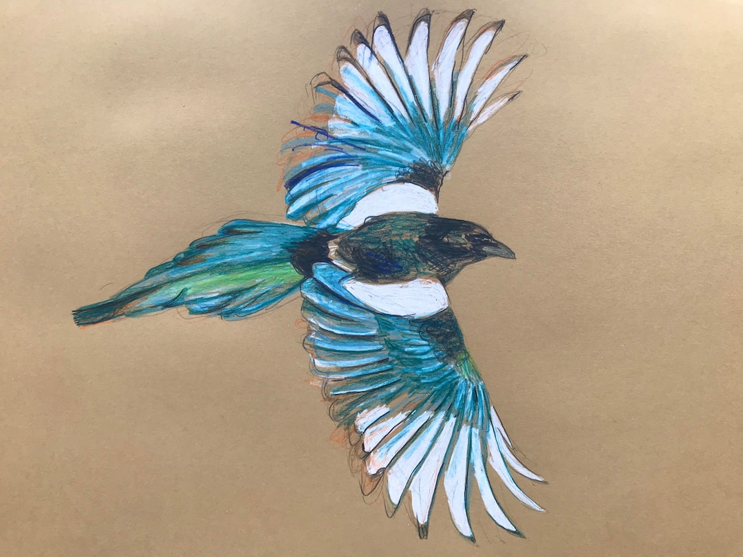 Original Drawing of Flying Magpie on Brown Paper, From 2022. Colourful ...