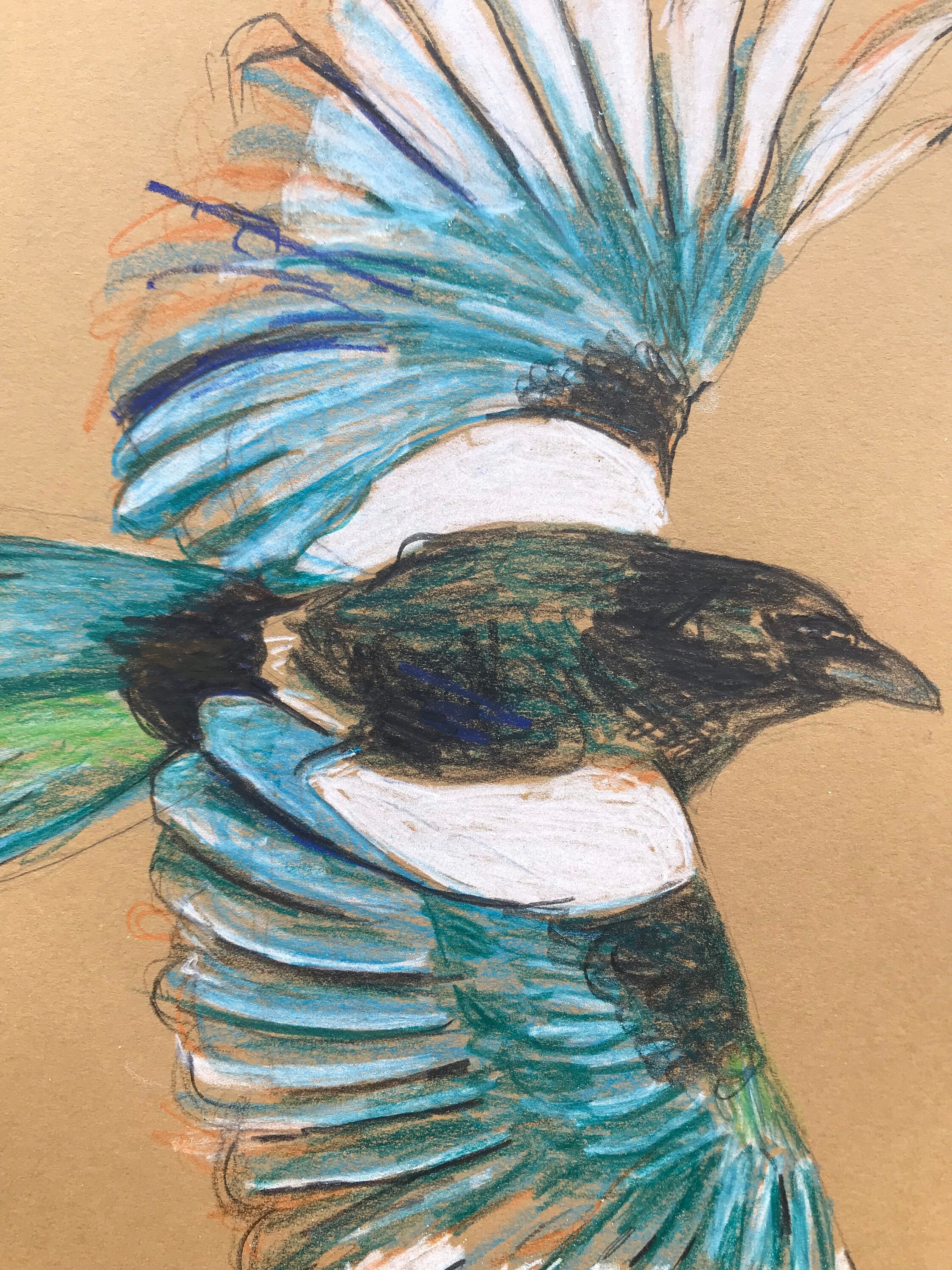 Original Drawing of Flying Magpie on Brown Paper, From 2022. Colourful ...