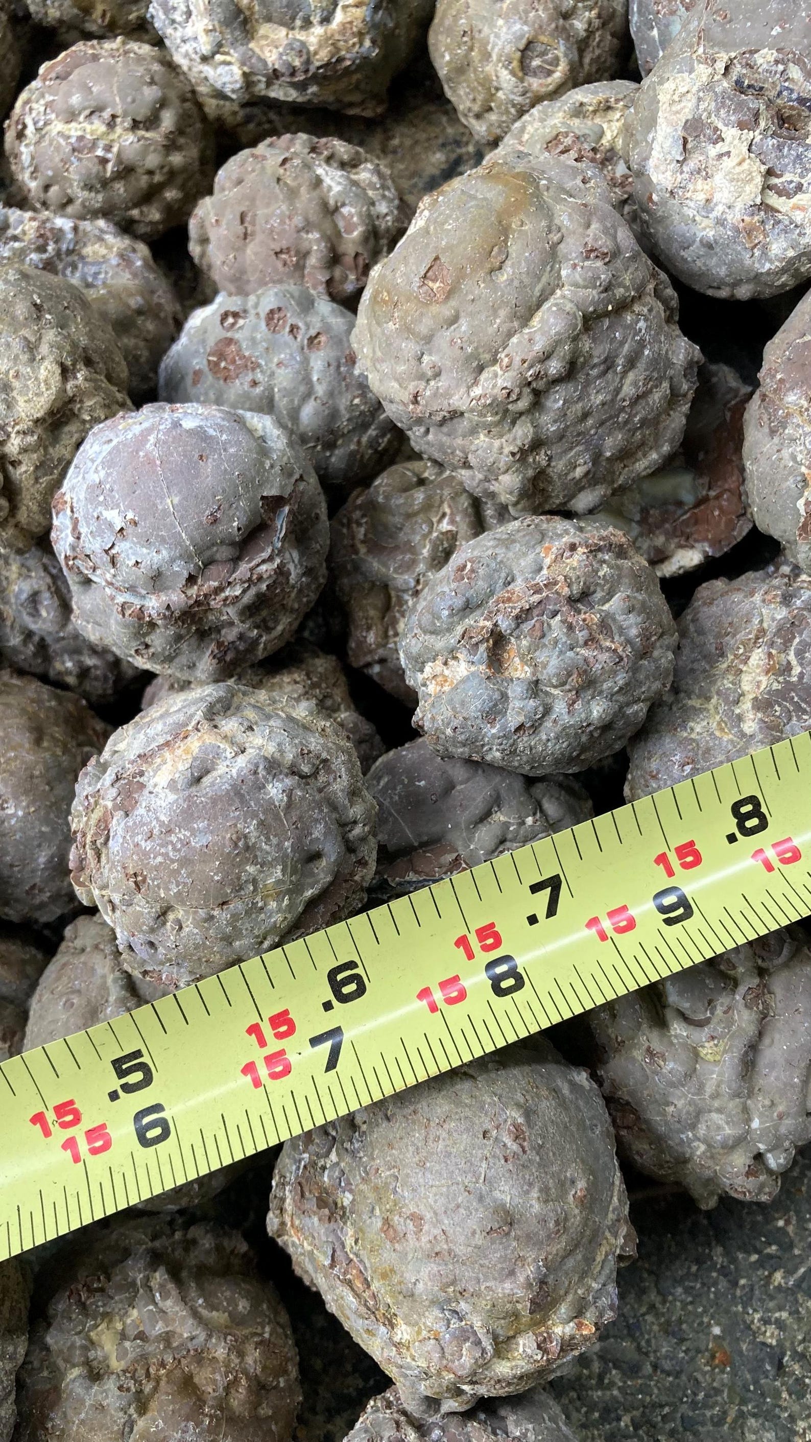 3 Pack Thundereggs From Madras, Oregon, Thunder Egg - Etsy